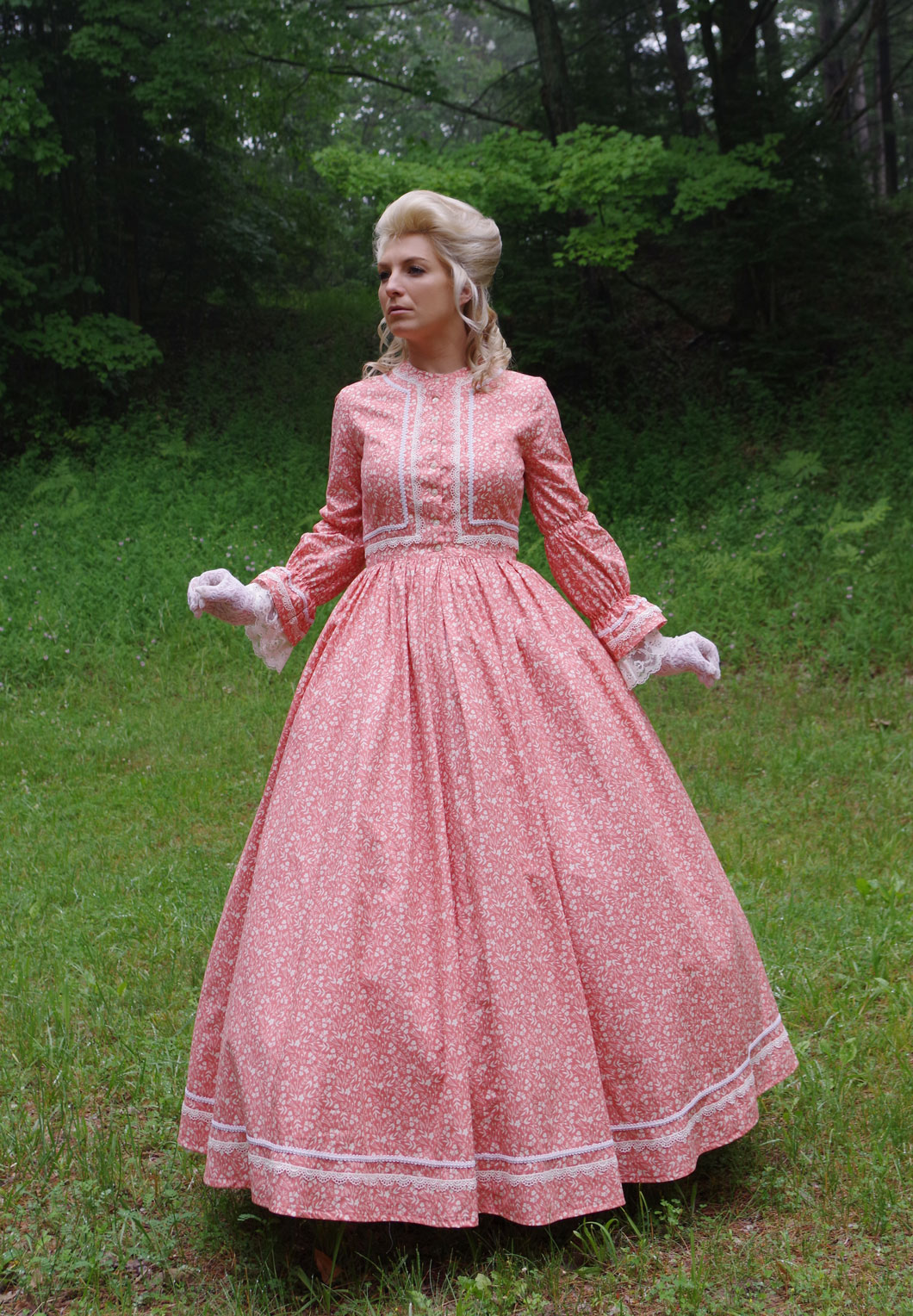 Lavinia s Civil War Hoop Dress Recollections