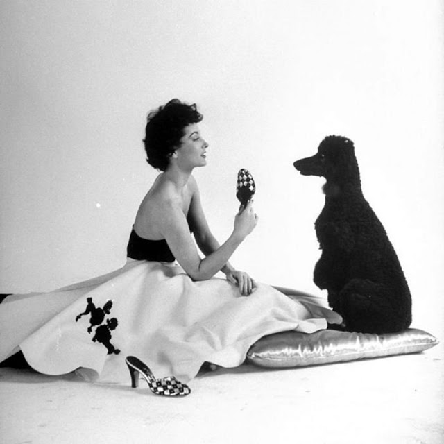 The Fun History Of The Poodle Skirt Recollections Blog