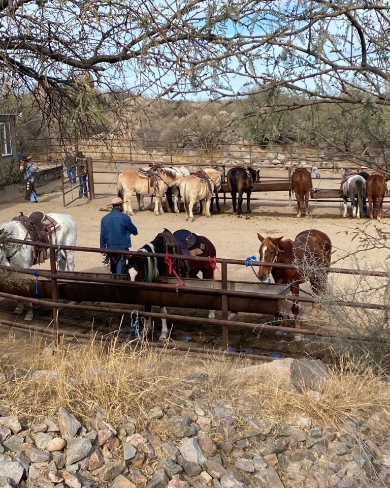 My Holiday at Tombstone Monument Ranch - Recollections Blog