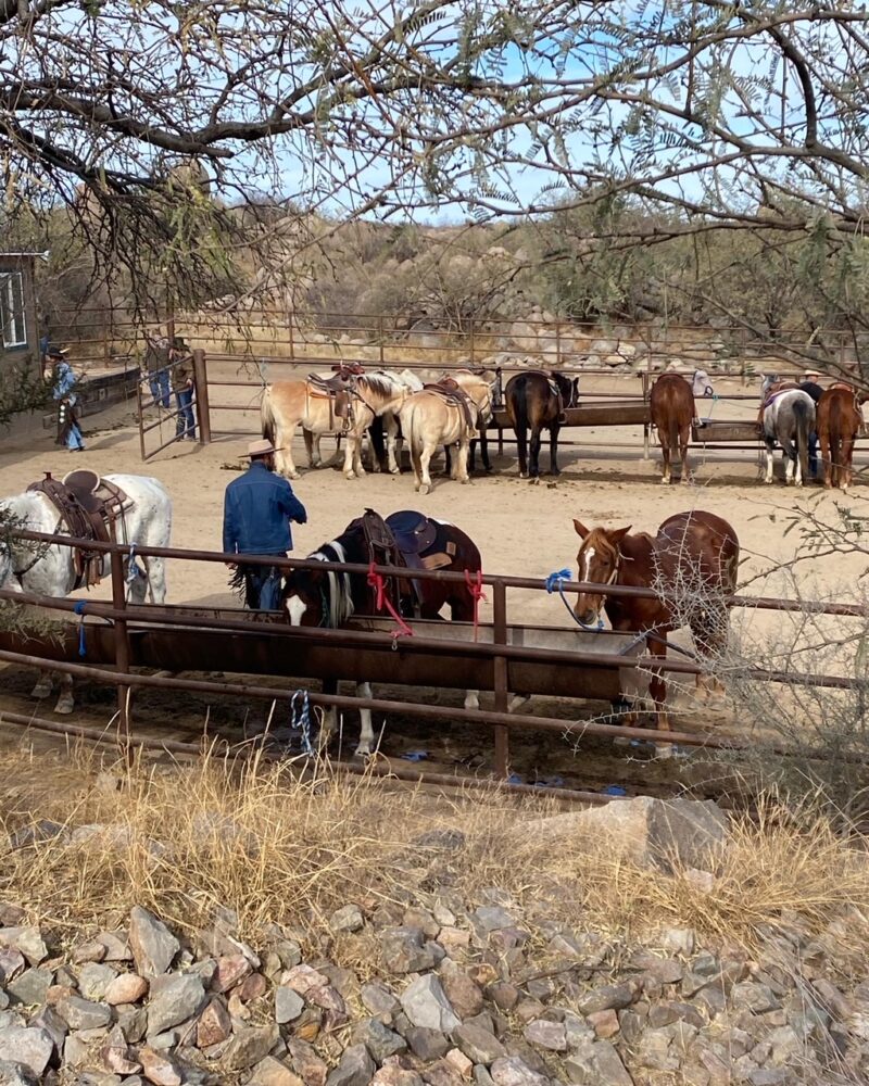 My Holiday at Tombstone Monument Ranch - Recollections Blog