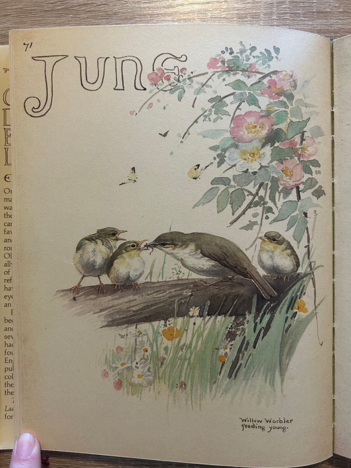 A very Victorian June - Recollections Blog