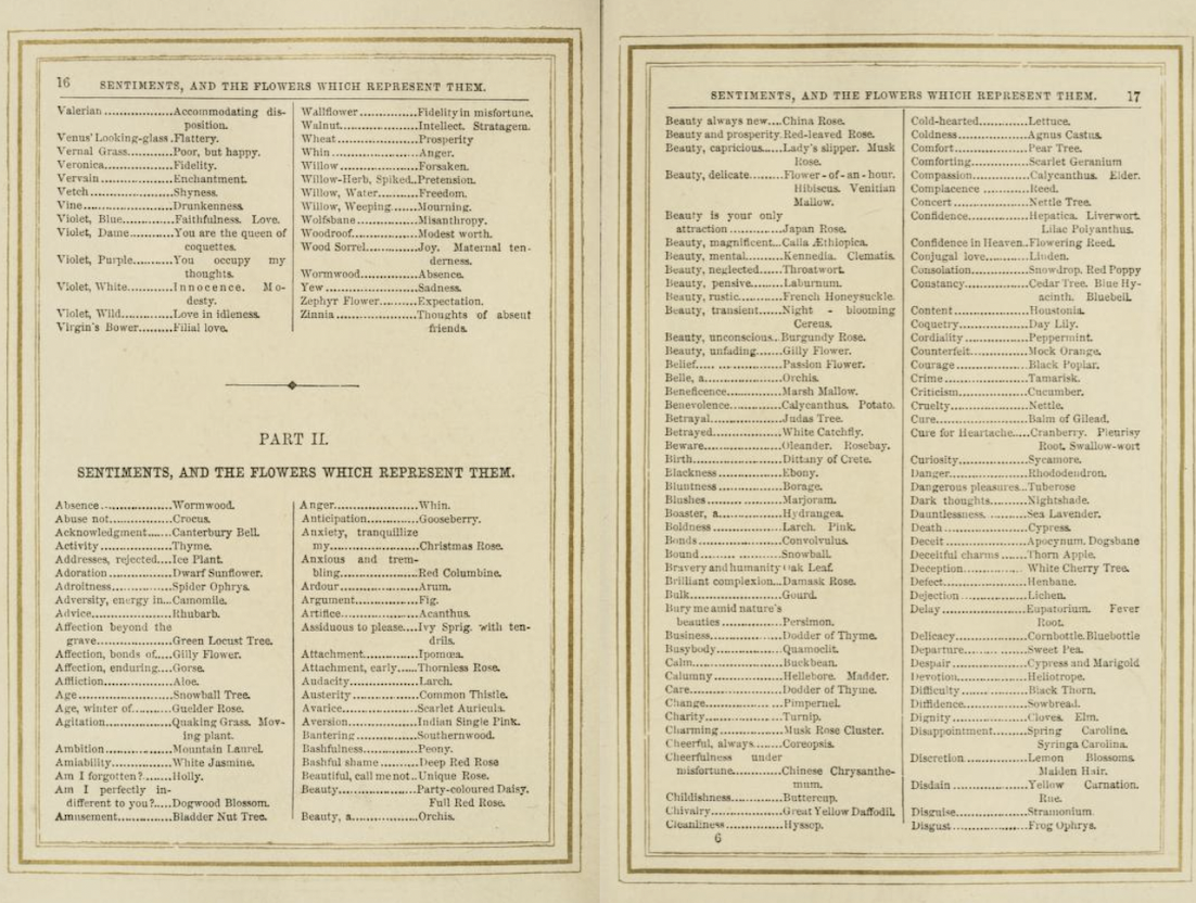 Happy National Rose Month! - Recollections Blog